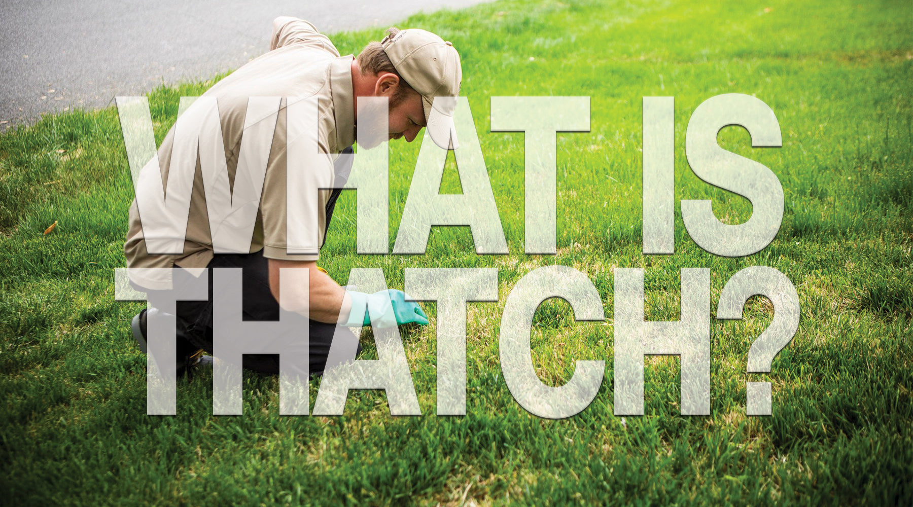 What is Lawn Thatch? How and When to Dethatch Your Lawn.